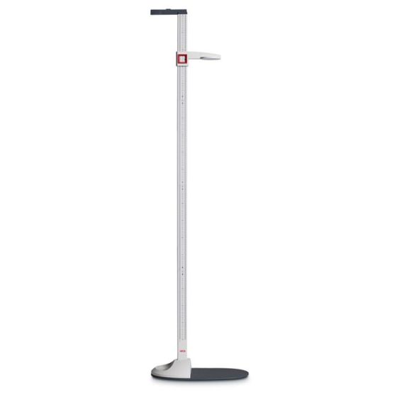 Stadiometer Seca 217 252,88 € | GirodMedical